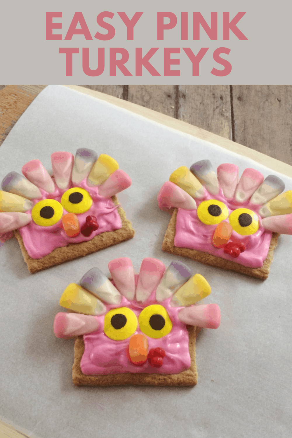 Easy Pink Turkeys - Budget-friendly Recipes For The Whole Family ...