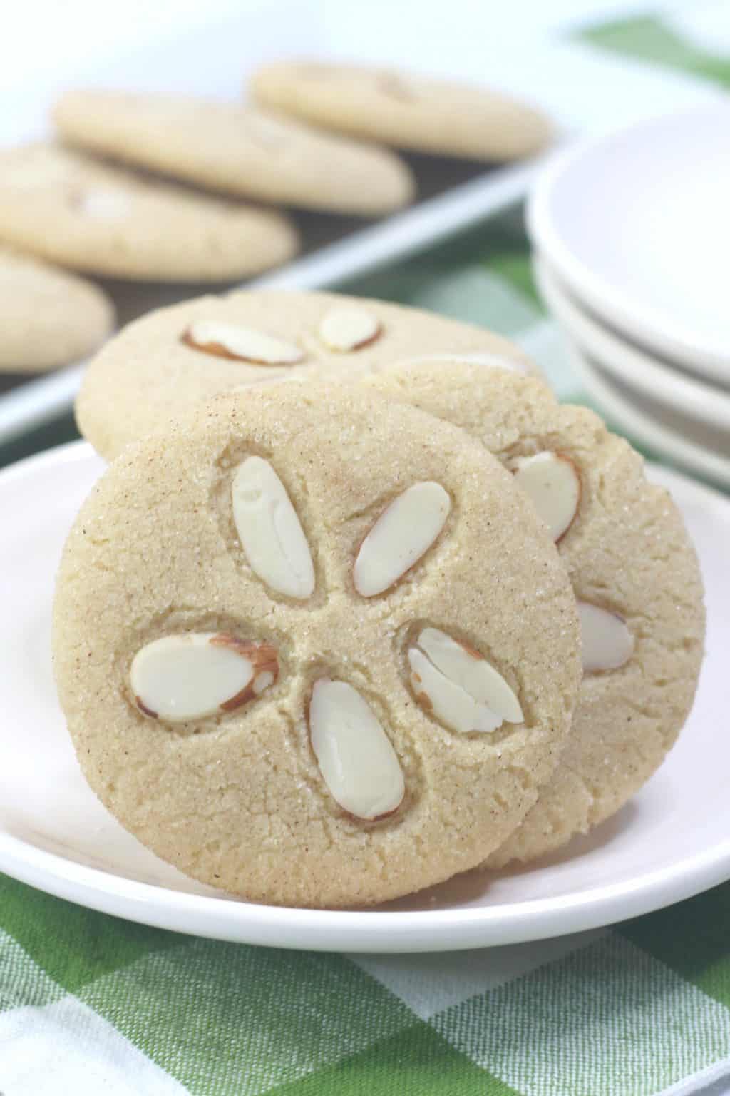 Sand Dollar Cookies - Mama's On A Budget