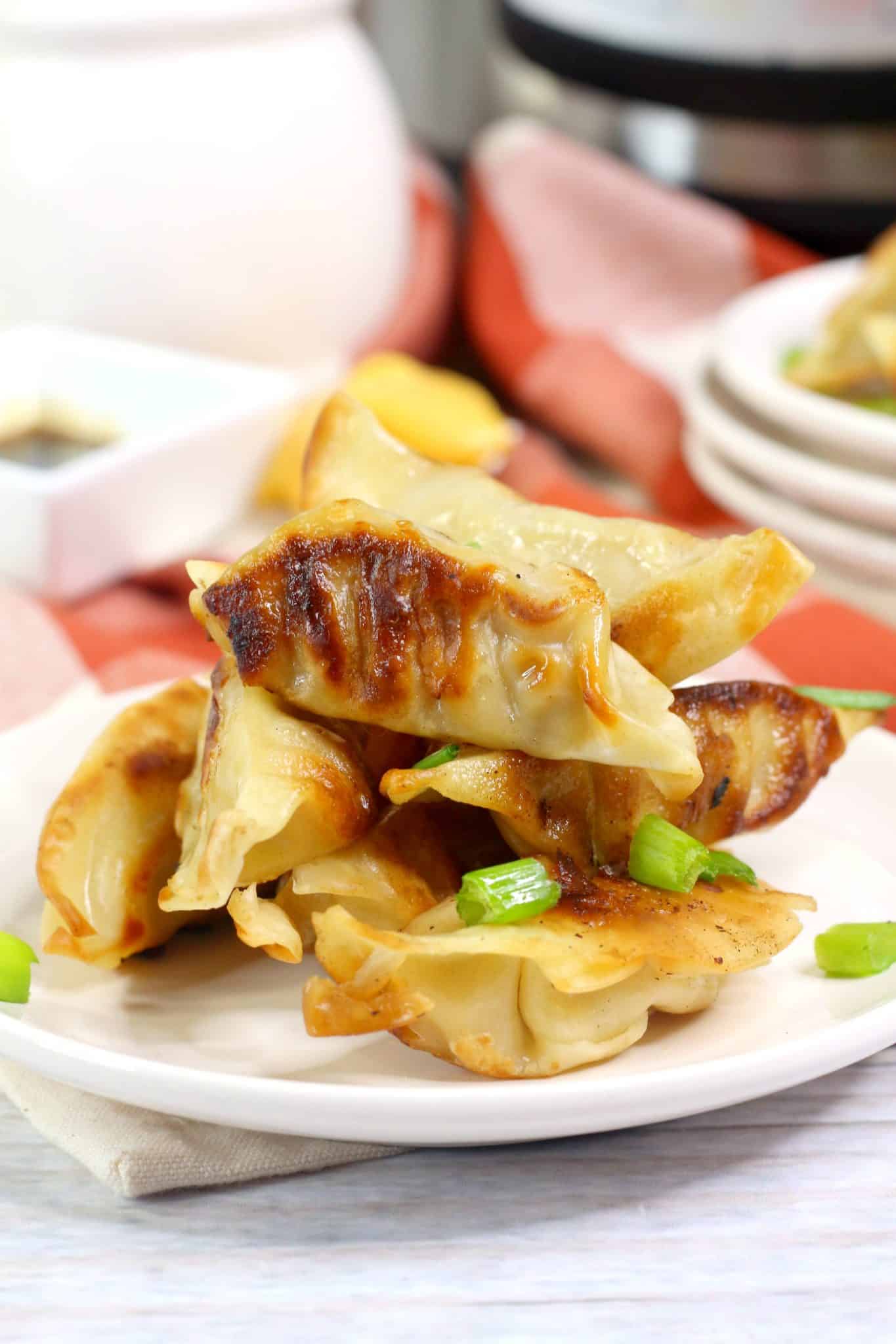 Instant Pot Chinese Dumplings - Budget-friendly Recipes For The Whole ...