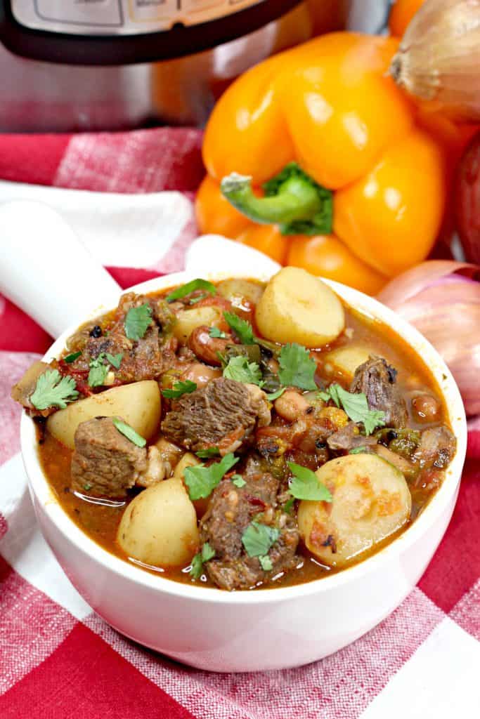 Instant Pot Mexican Beef Stew - Mama's On A Budget Instant Pot Recipe