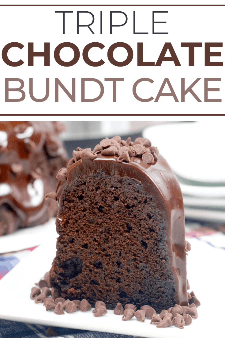 Instant Pot Triple Chocolate Bundt Cake - Budget-friendly Recipes For ...