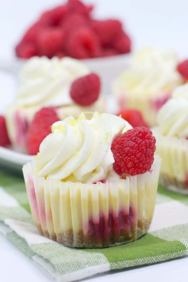 Mini Lemon Raspberry Cheesecakes - Budget-friendly Recipes For The ...