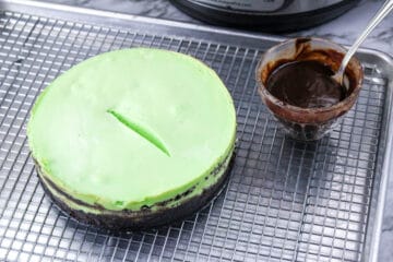 Instant Pot Mint Cheesecake - Mama's On A Budget