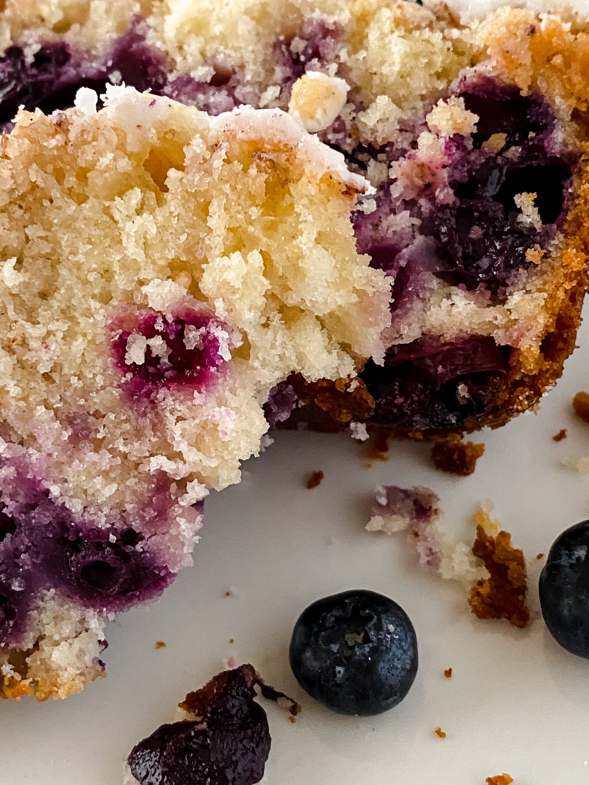 Blueberry Nut Bread with Lemon - Mama's On A Budget