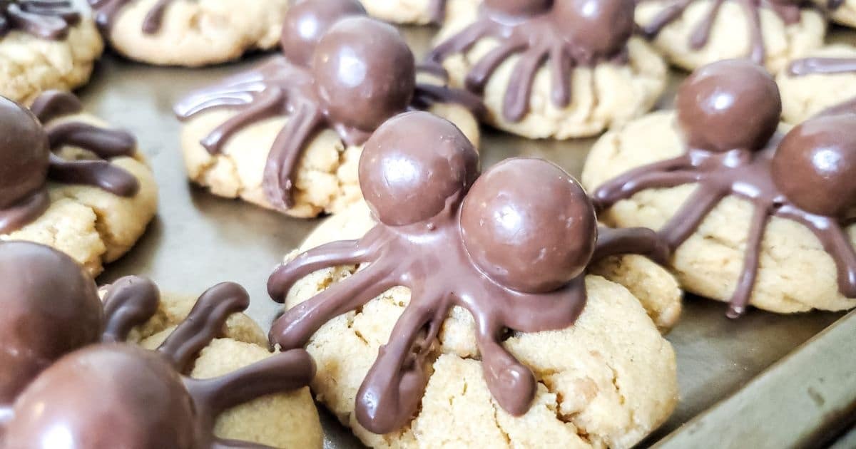 Spider Cookies - Mama's On A Budget