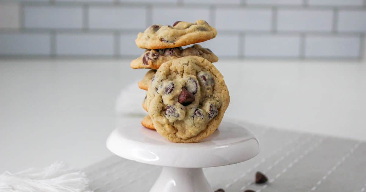 No Egg Chocolate Chip Cookies - Budget-friendly Recipes For The Whole ...