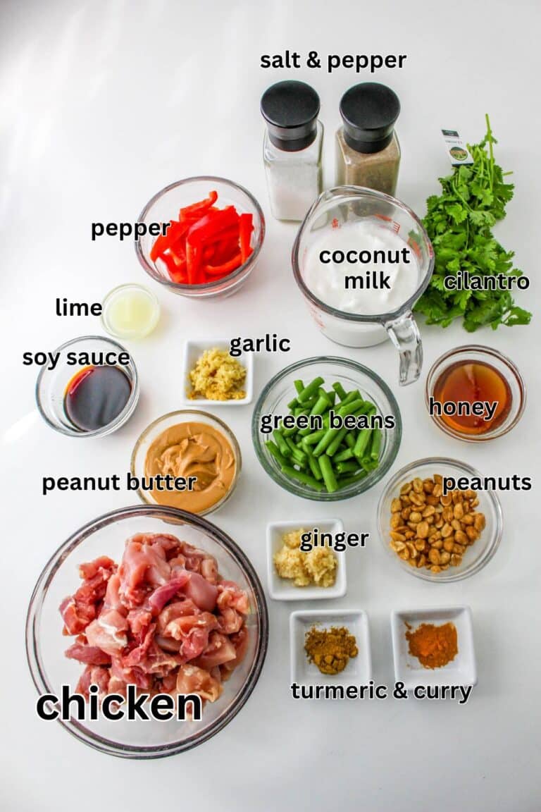 Slow Cooker Chicken Satay - Mama's On A Budget