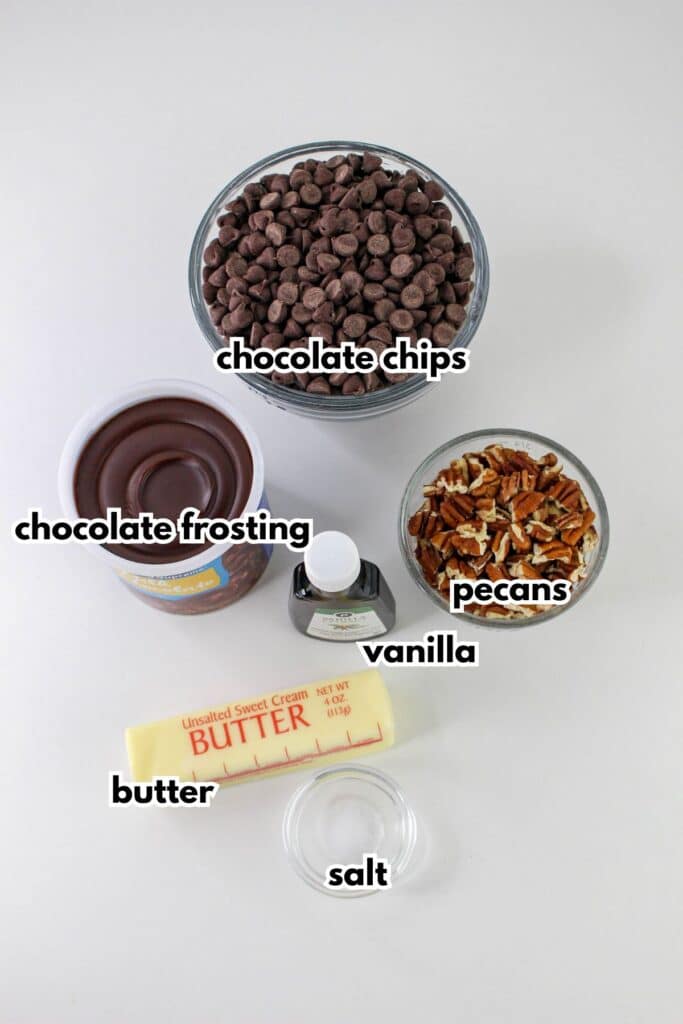 Fudge with Chocolate Frosting - Budget-friendly Recipes For The Whole ...