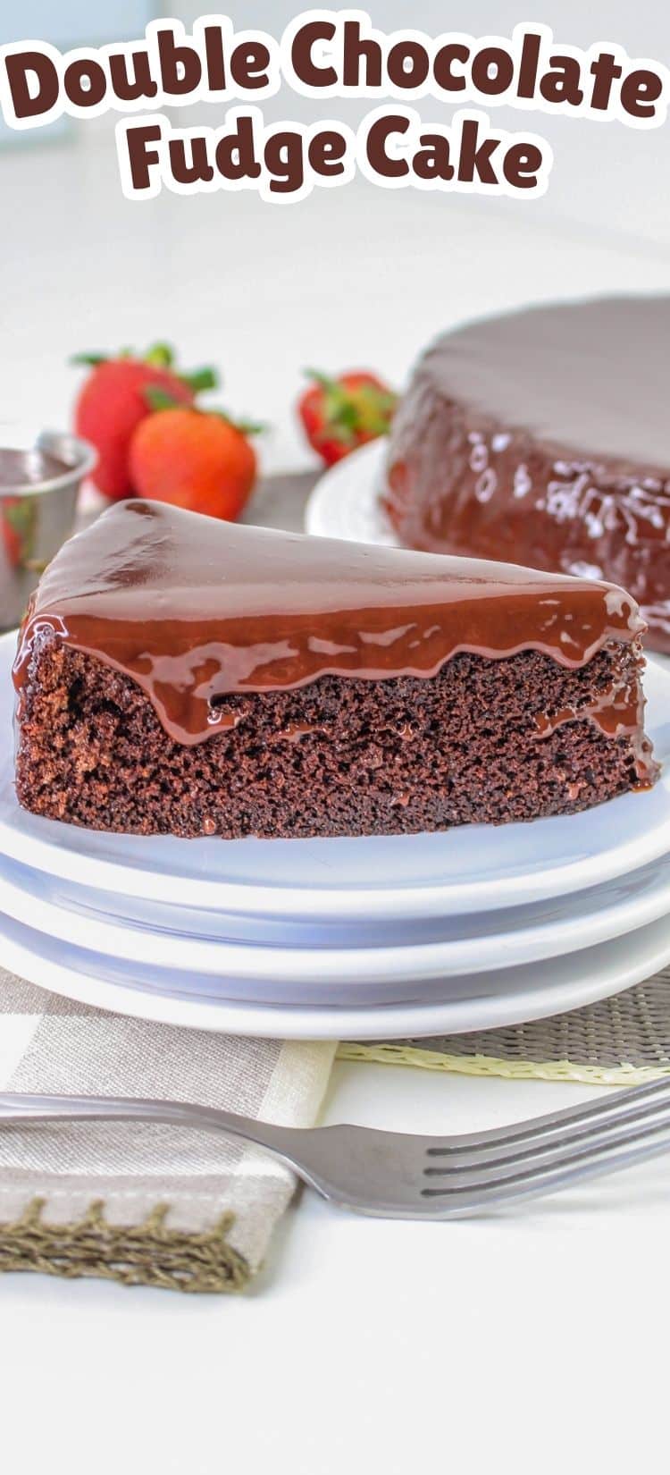 Double Chocolate Fudge Cake - Budget-friendly Recipes For The Whole Family