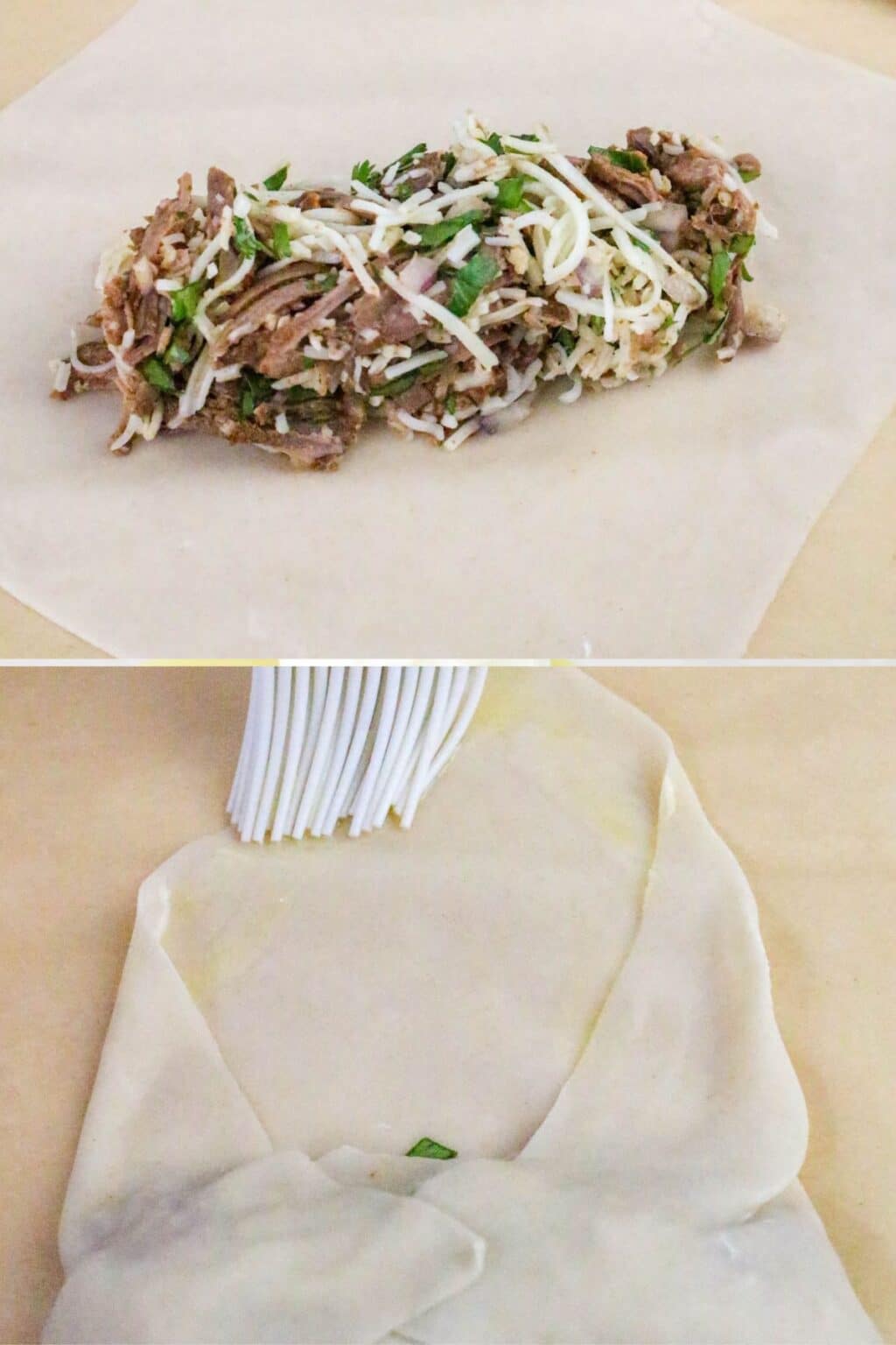 Birria Egg Rolls - Budget-friendly Recipes For The Whole Family