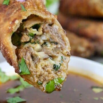 Birria Egg Rolls - Budget-friendly Recipes For The Whole Family