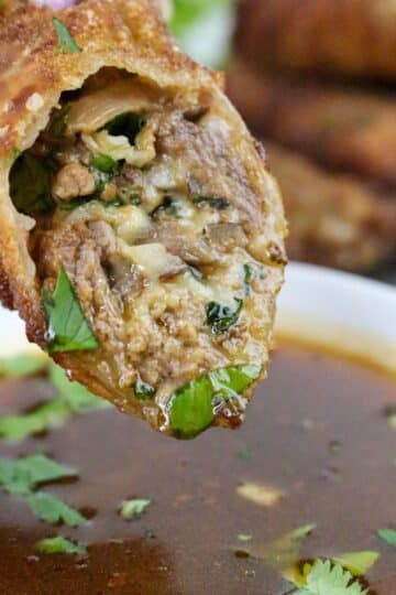 Birria Egg Rolls - Mama's On A Budget