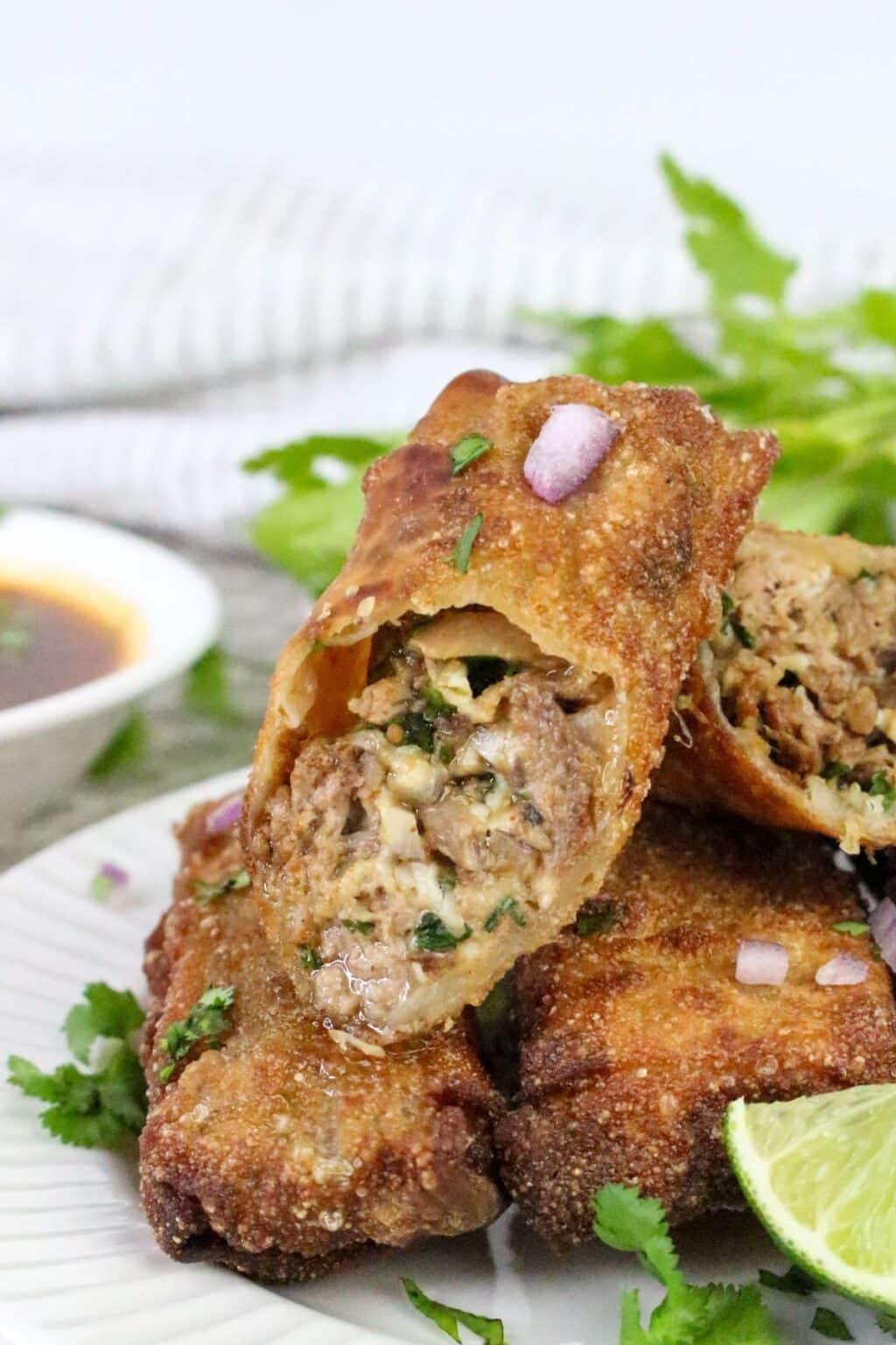 Birria Egg Rolls - Budget-friendly Recipes For The Whole Family