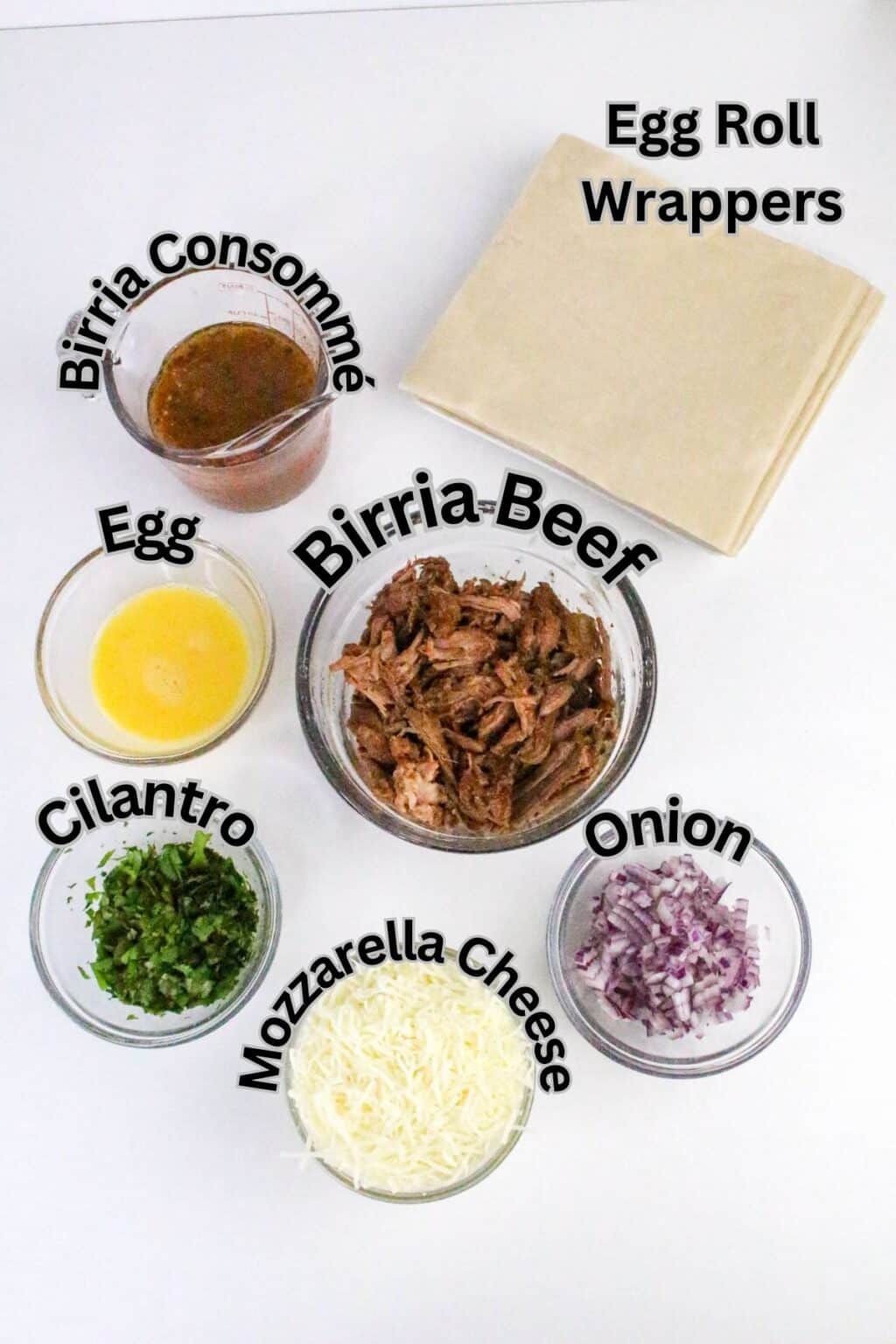 Birria Egg Rolls - Budget-friendly Recipes For The Whole Family