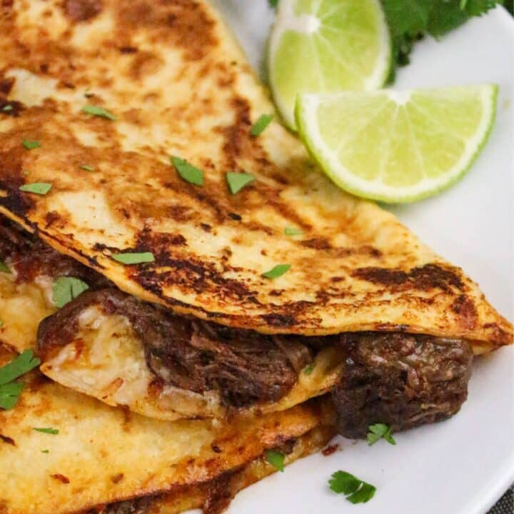 Slow Cooker Birria Tacos - Mama's On A Budget